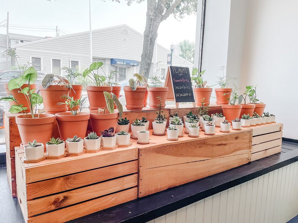 CLOSED: Schubert Provisions - Braintree Massachusetts Veg Store - HappyCow