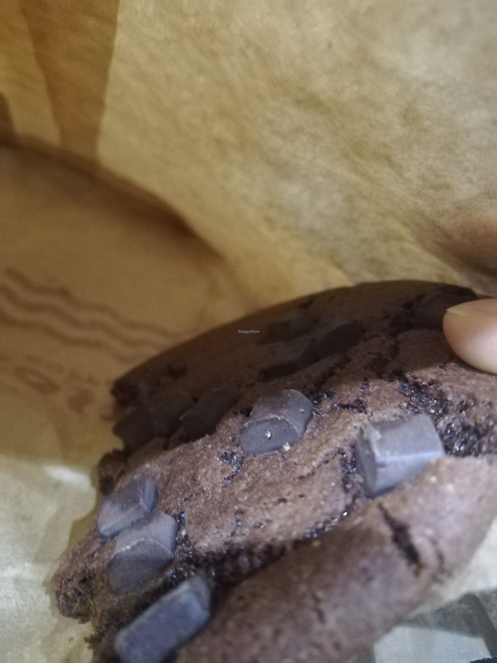 Costa Coffee - Warsaw Coffee & Tea - HappyCow