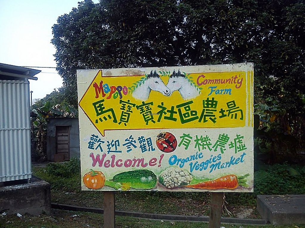 Mapopo Community Farm and Market Fanling - New Territories Hong Kong ...