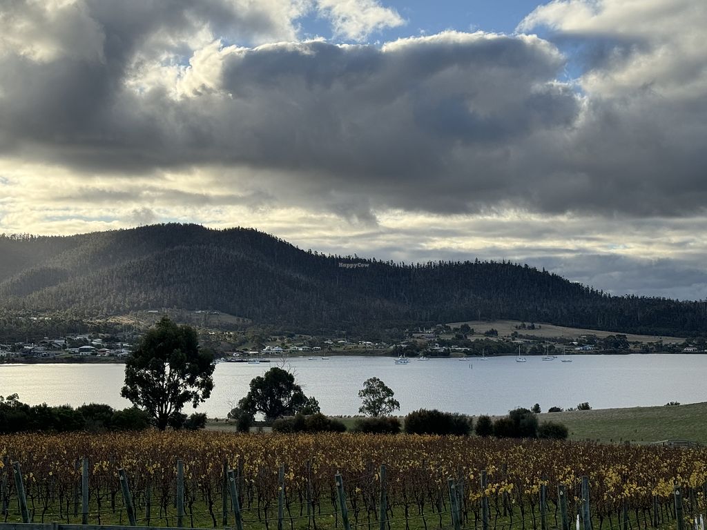 Bangor Vineyard Shed - Dunalley | Review "Great location and service ...