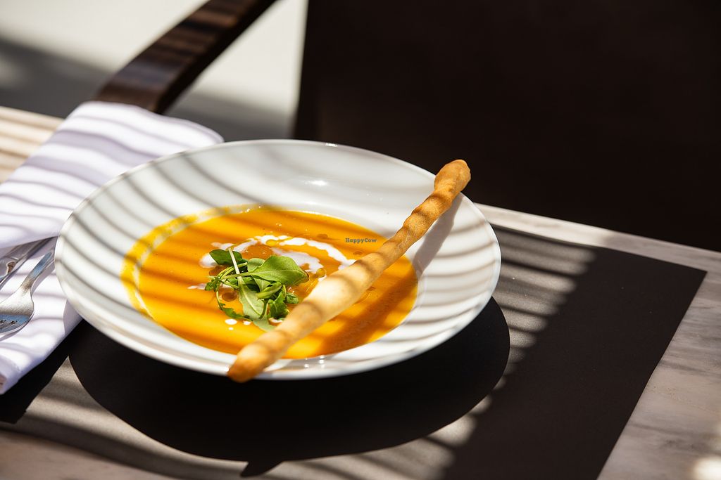 CLOSED: Physis Pure Vegan Restaurant - Santorini Restaurant - HappyCow