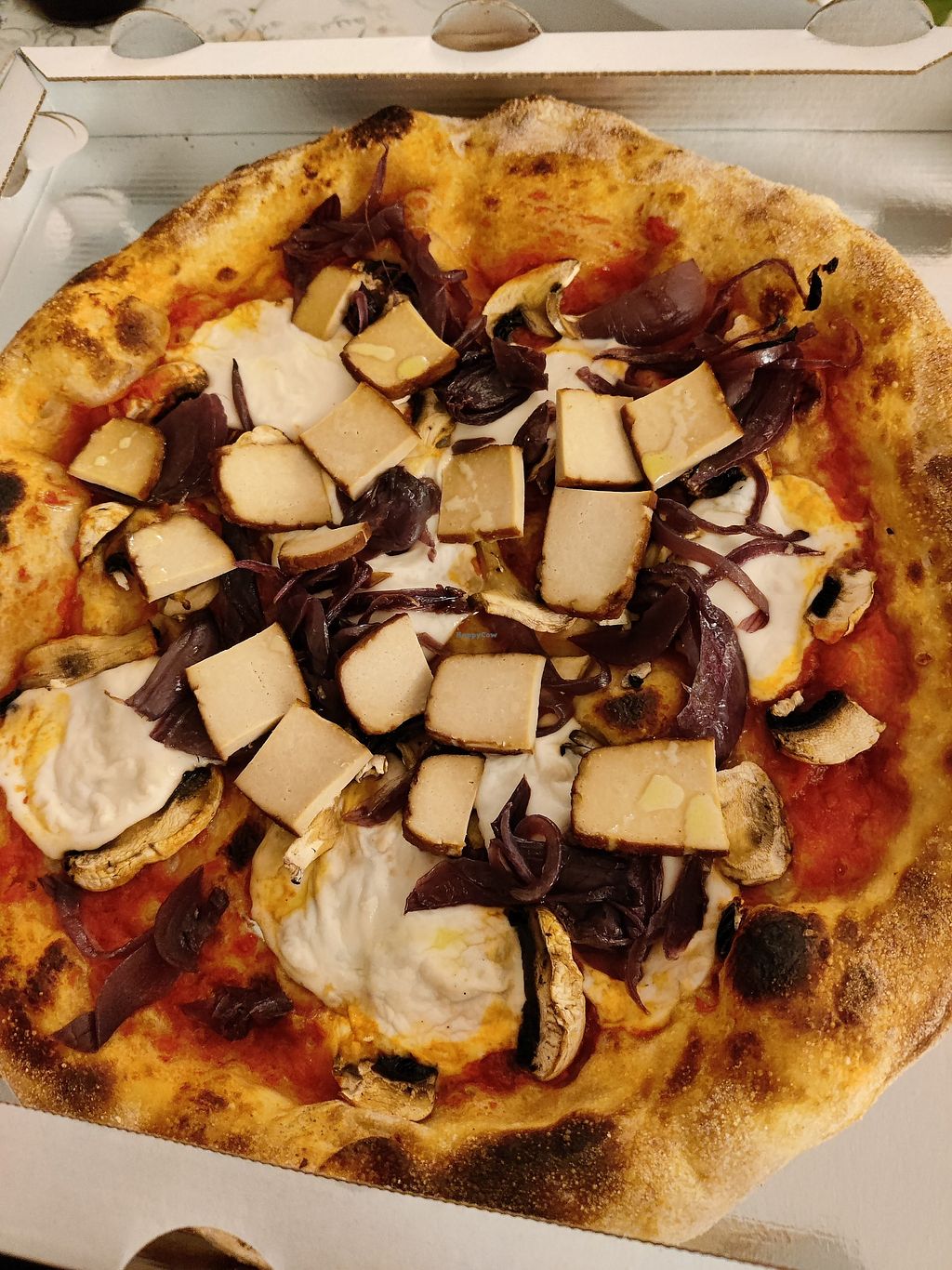 JAMA Mastro Pizzaiolo - Genoa Restaurant - HappyCow