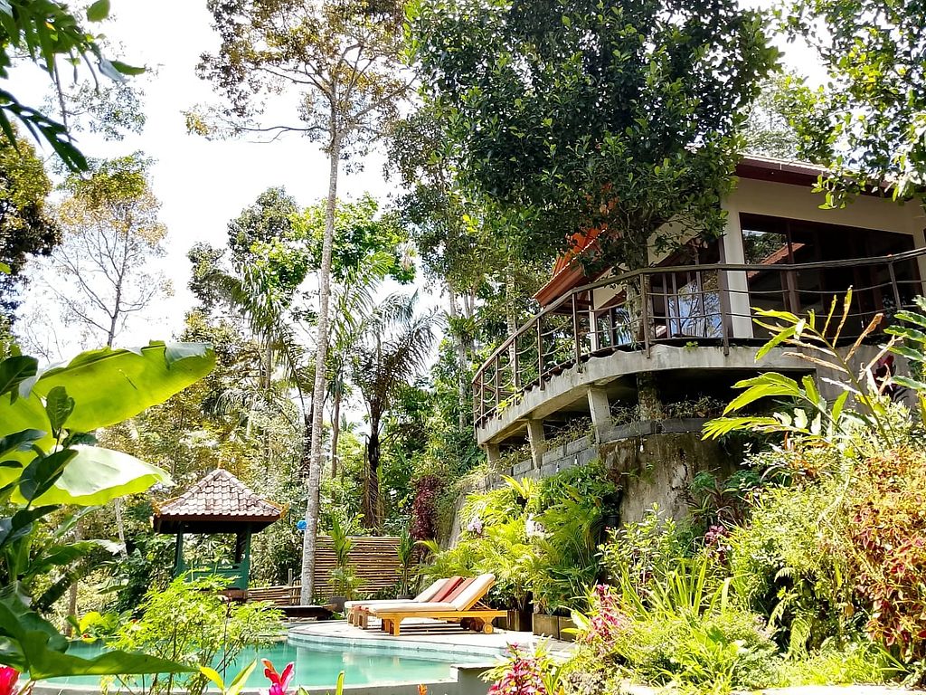 The Jungle Nook - Harmony Hill - Tampaksiring | Review "A beautiful ...