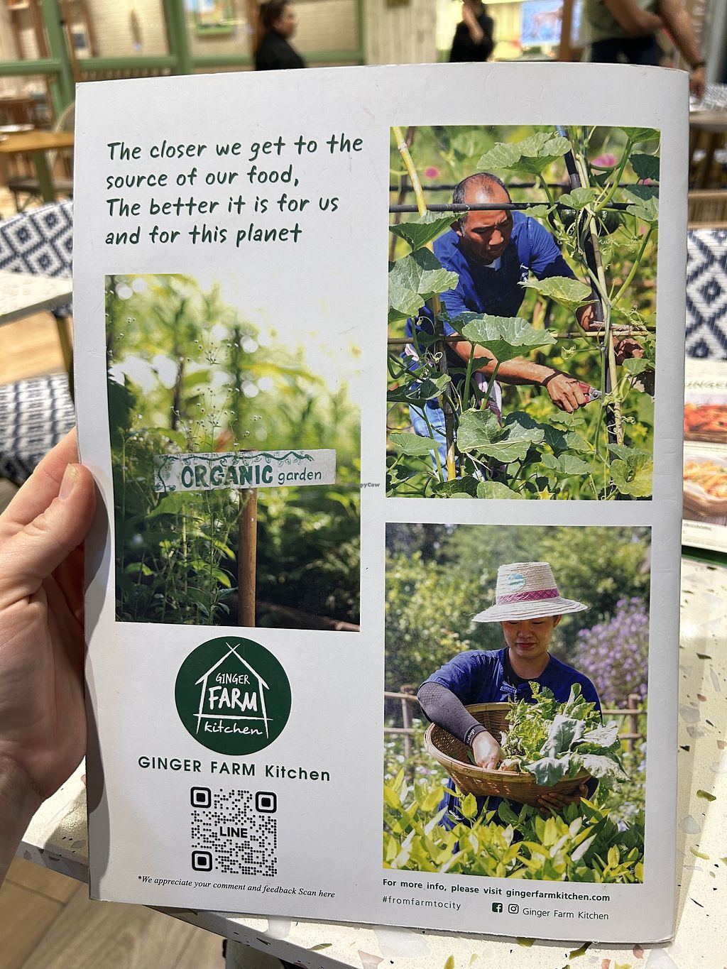 Ginger Farm Kitchen - Phuket Restaurant - HappyCow