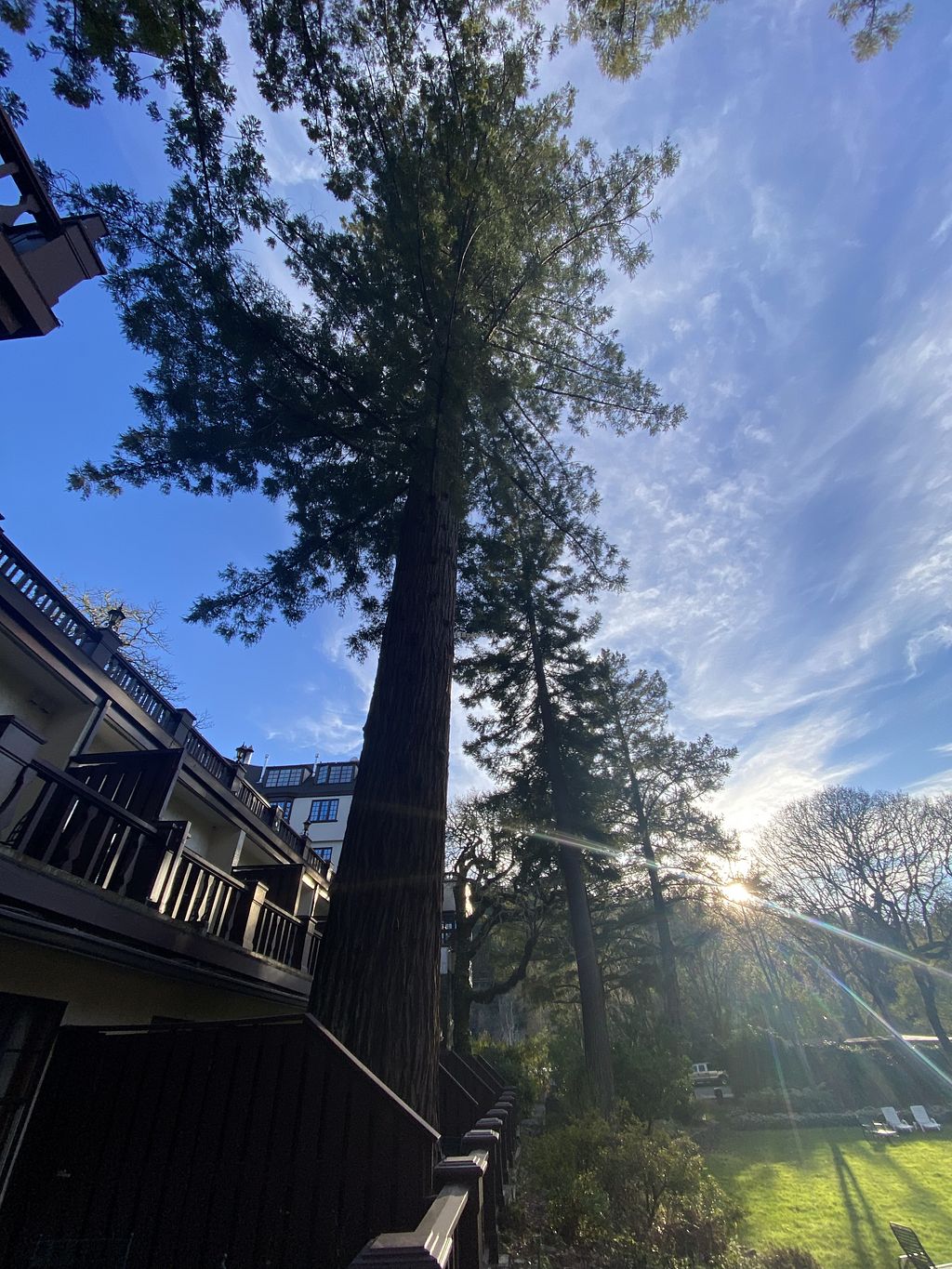 Benbow Historic Inn - Garberville California Restaurant - HappyCow