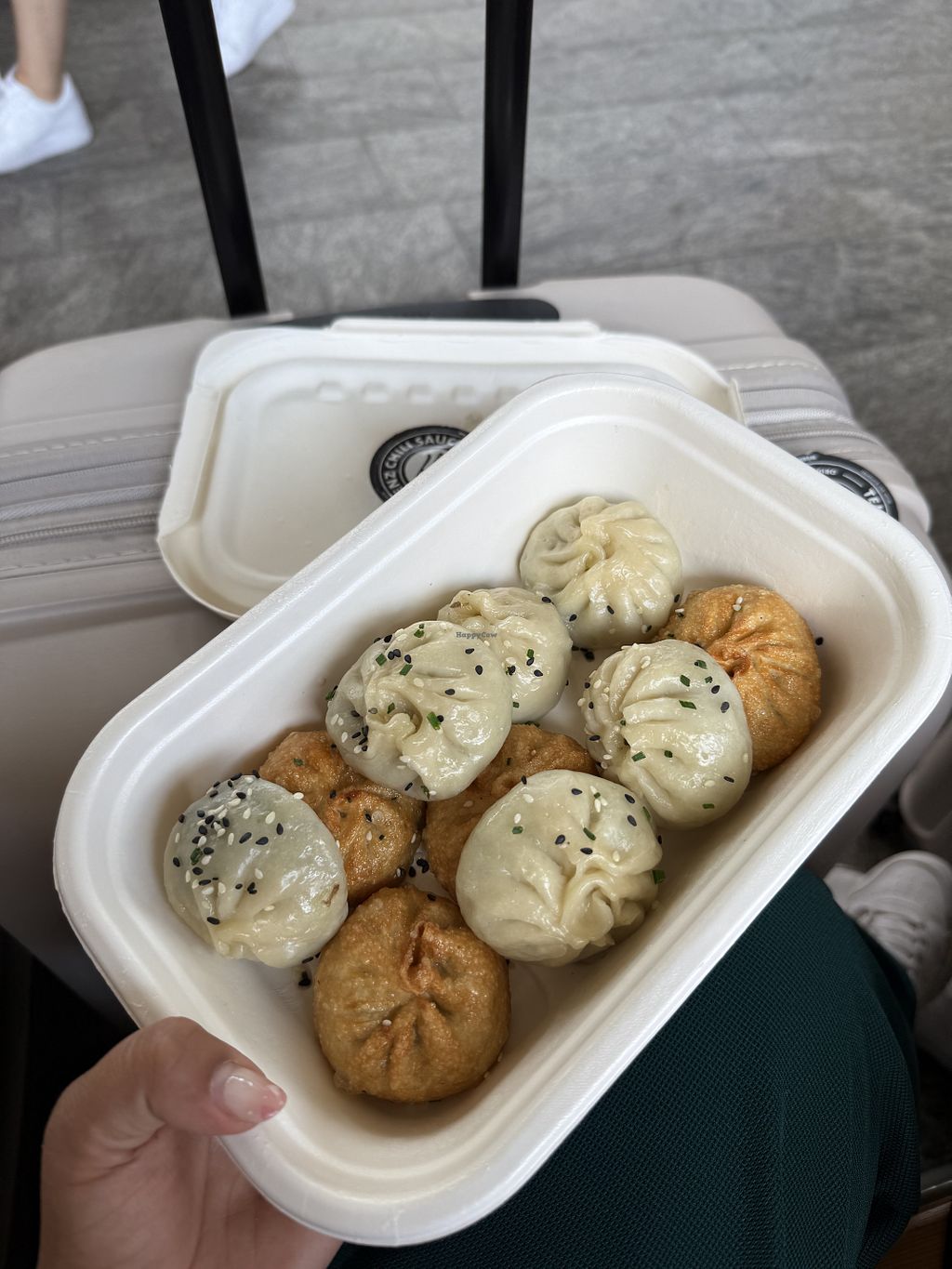 Tenz Momo - Chur Restaurant - HappyCow