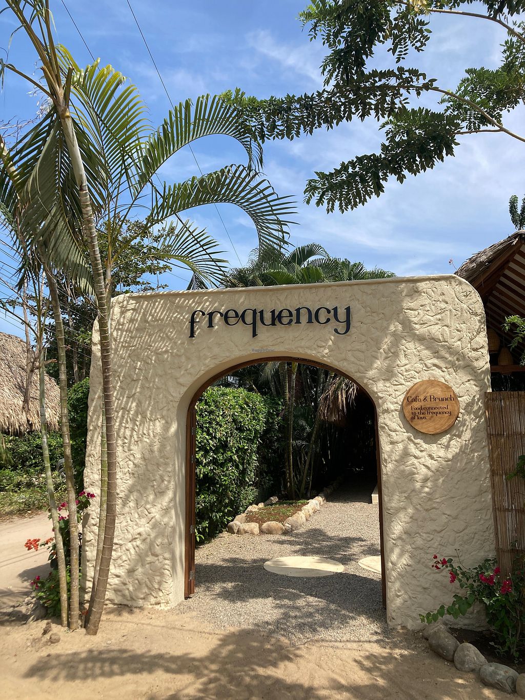 Frequency Cafe & Brunch - Palomino Restaurant - HappyCow