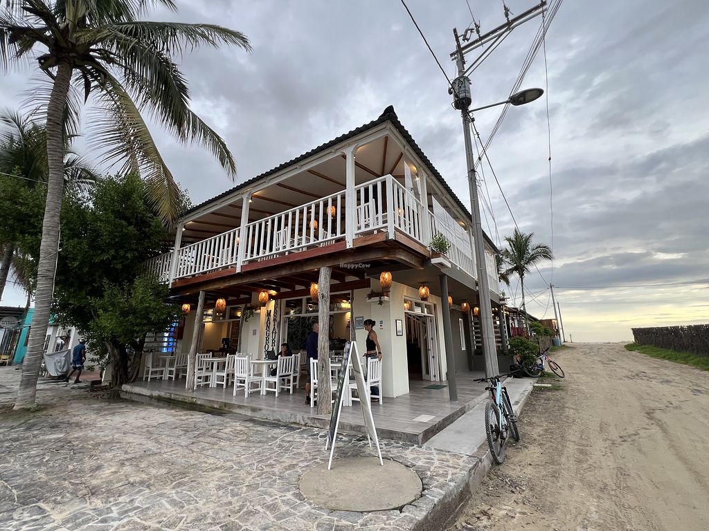 Mangrove Restaurant Isabela Galápagos - Puerto Villamil Restaurant ...