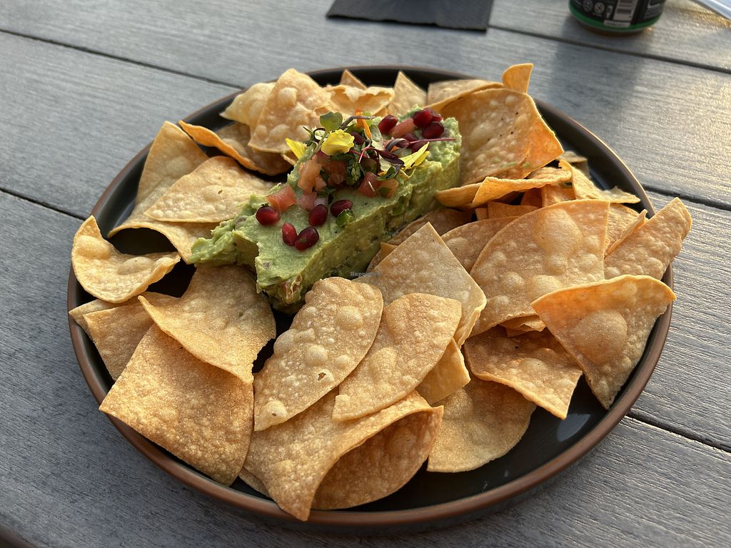 Viva - South Padre Island Texas Restaurant - HappyCow