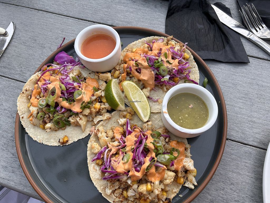 Viva - South Padre Island Texas Restaurant - HappyCow