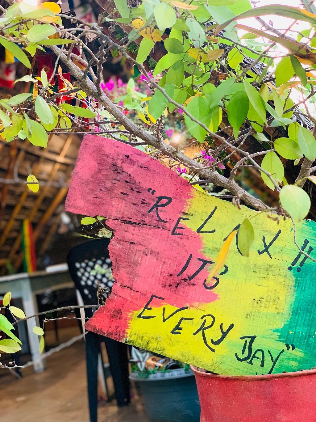 Royal Tasty Cafe - Dambulla | Review "Good vegan Food 🥑" by FancyRash ...