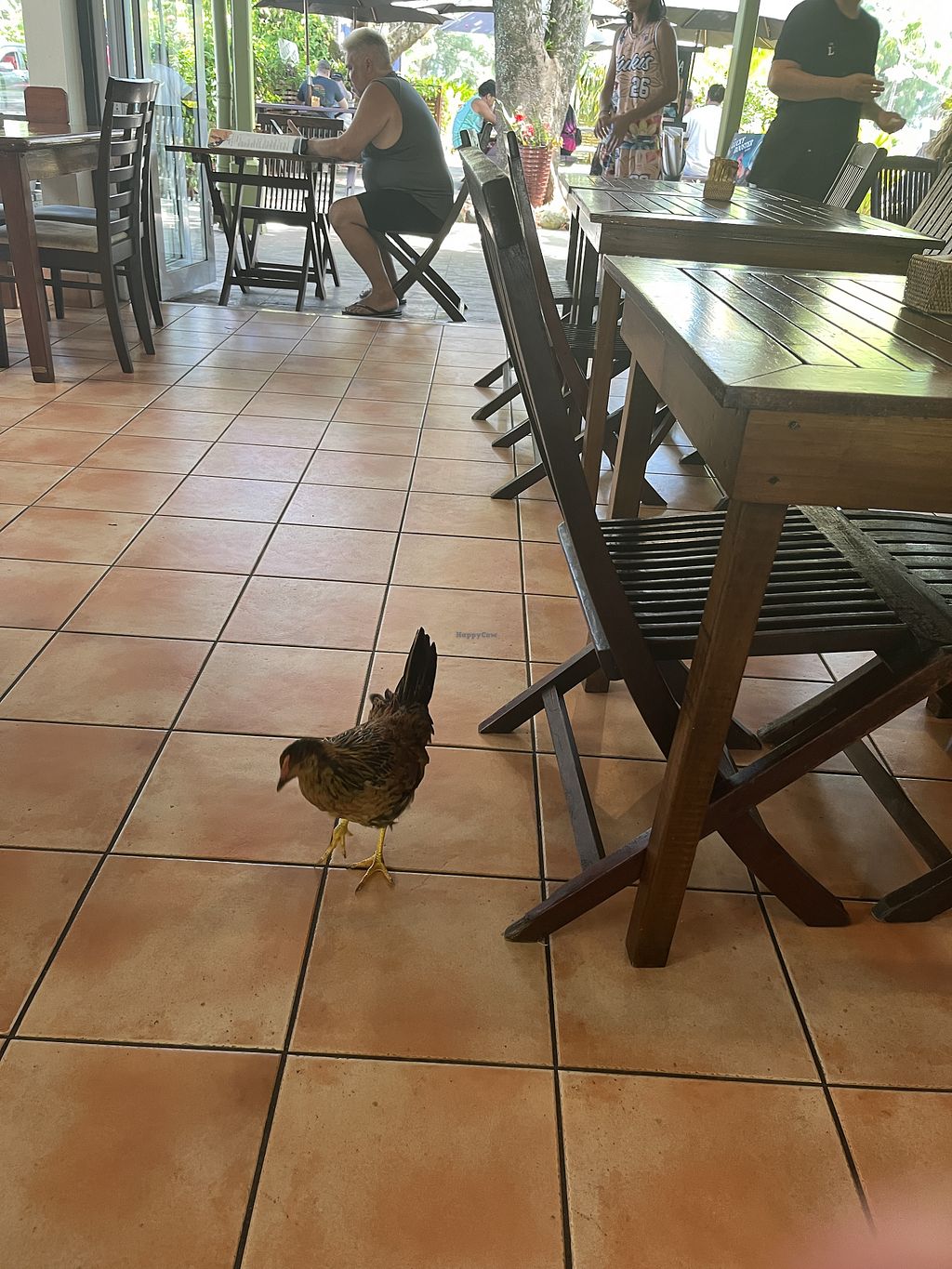 The Lucky Rooster Eatery - Rarotonga Restaurant - HappyCow