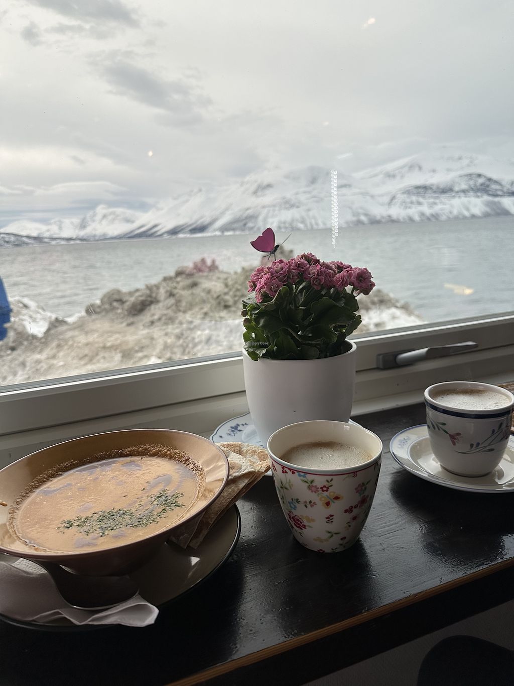 Zapffe Cafe - Svensby Coffee & Tea - HappyCow