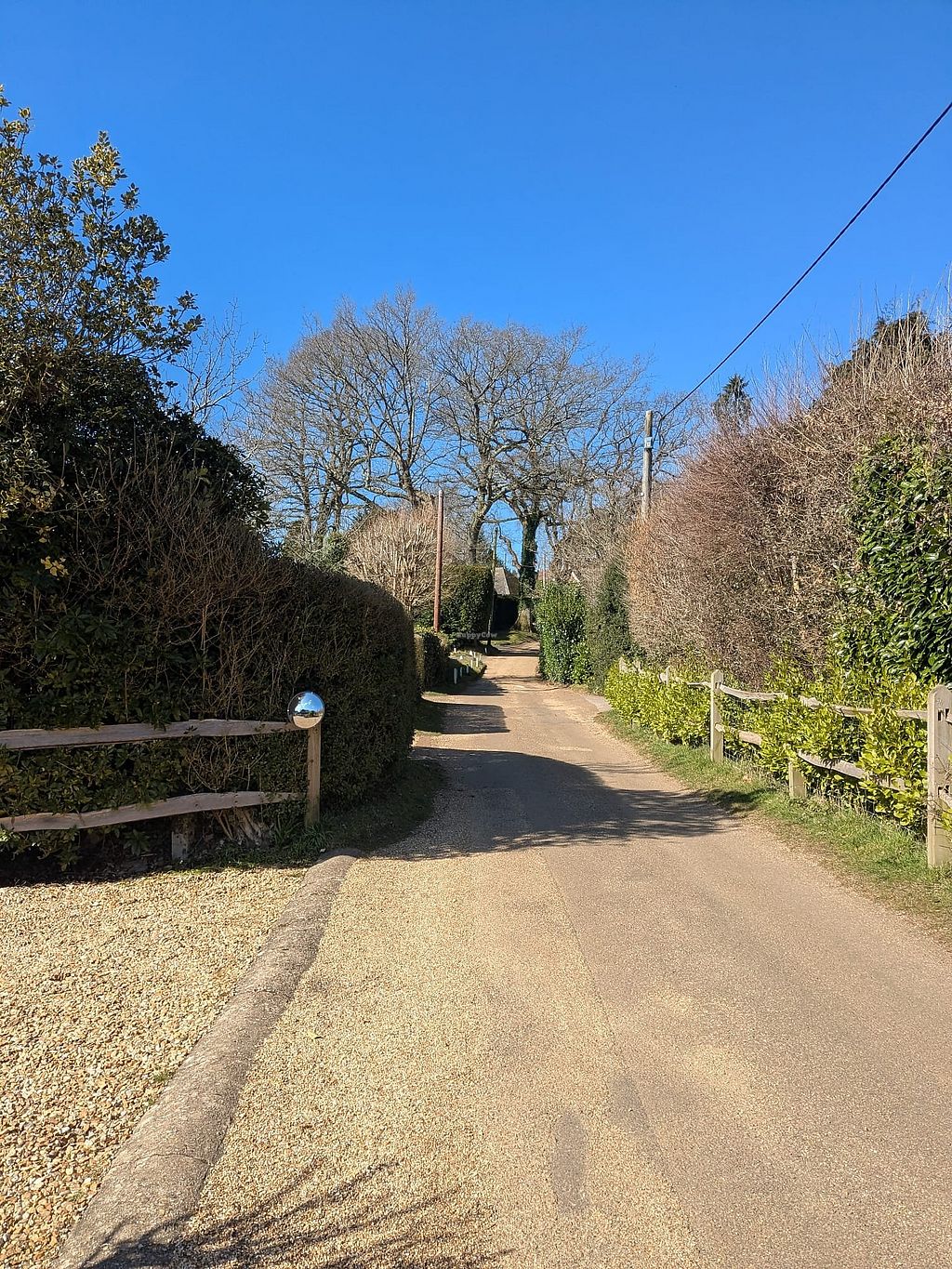 A Vegan & Dog Friendly Annex - West Chiltington B&B - HappyCow