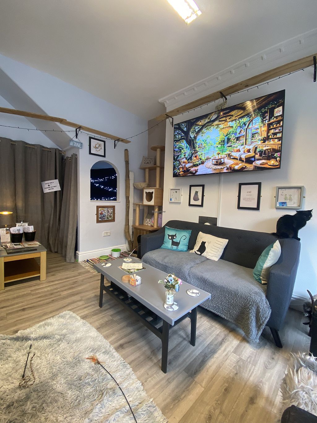 Manx Cat Café - Douglas Coffee & Tea - HappyCow