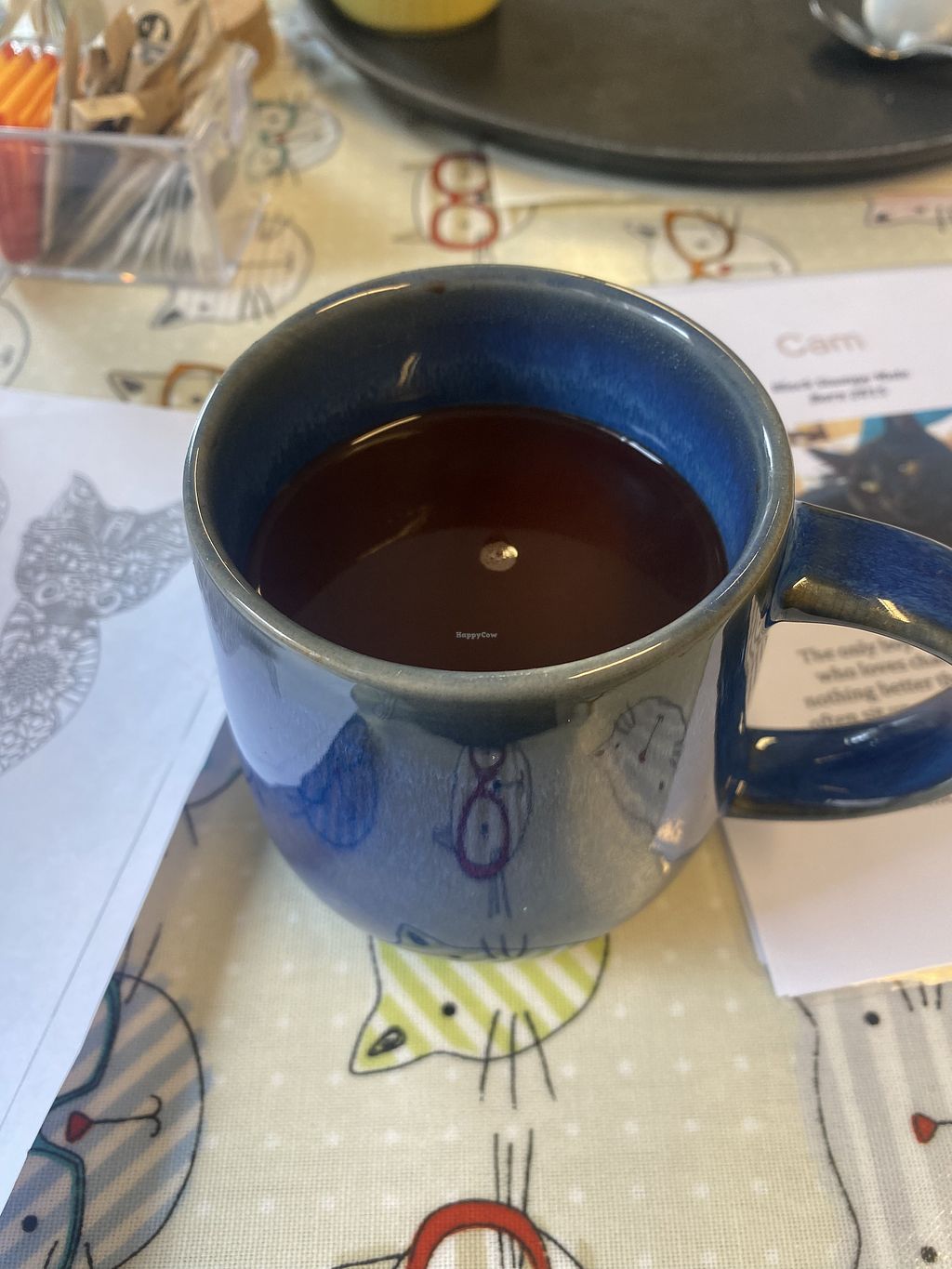 Manx Cat Café - Douglas Coffee & Tea - HappyCow