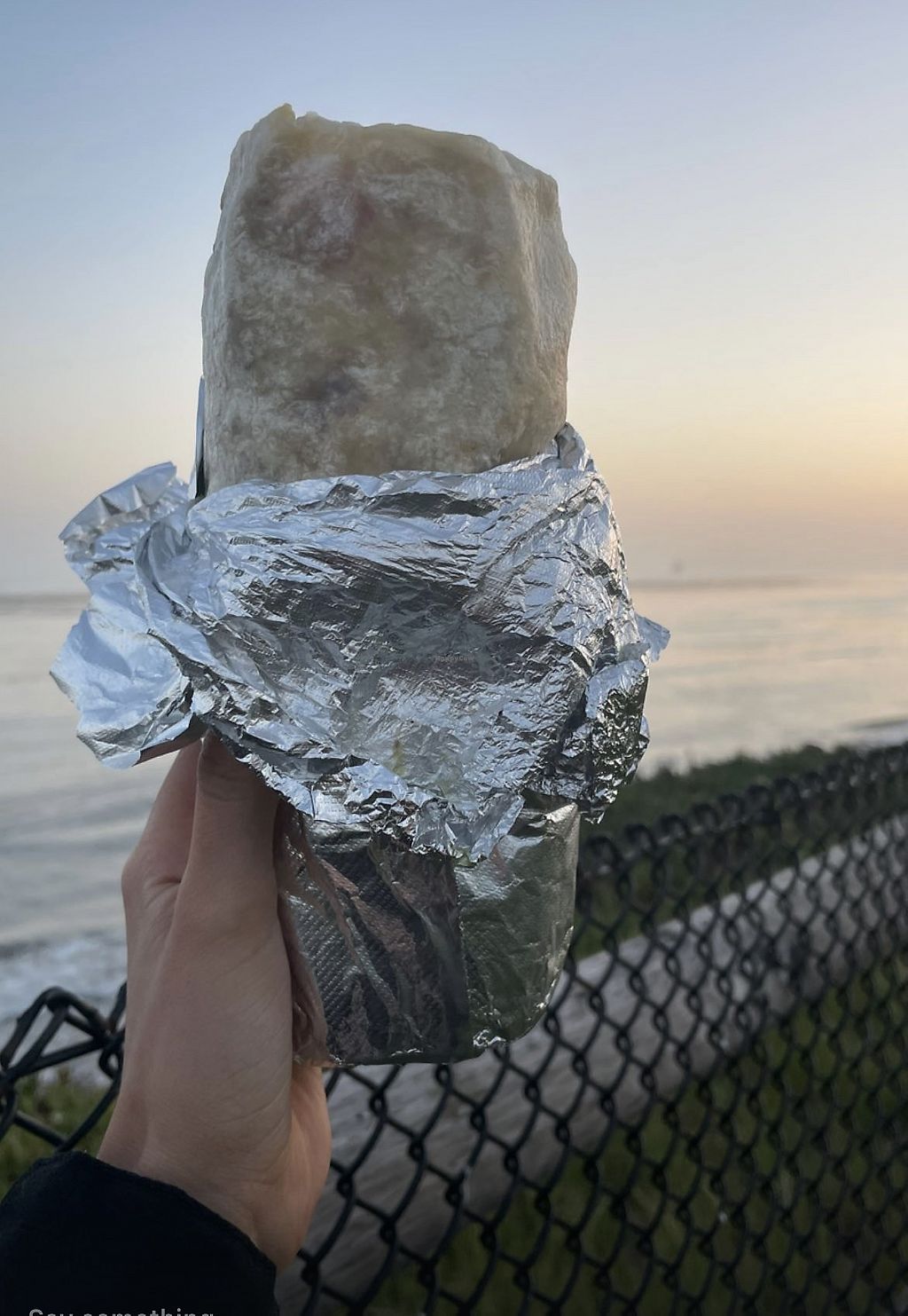 Freebirds World Burrito - Goleta California Restaurant - HappyCow