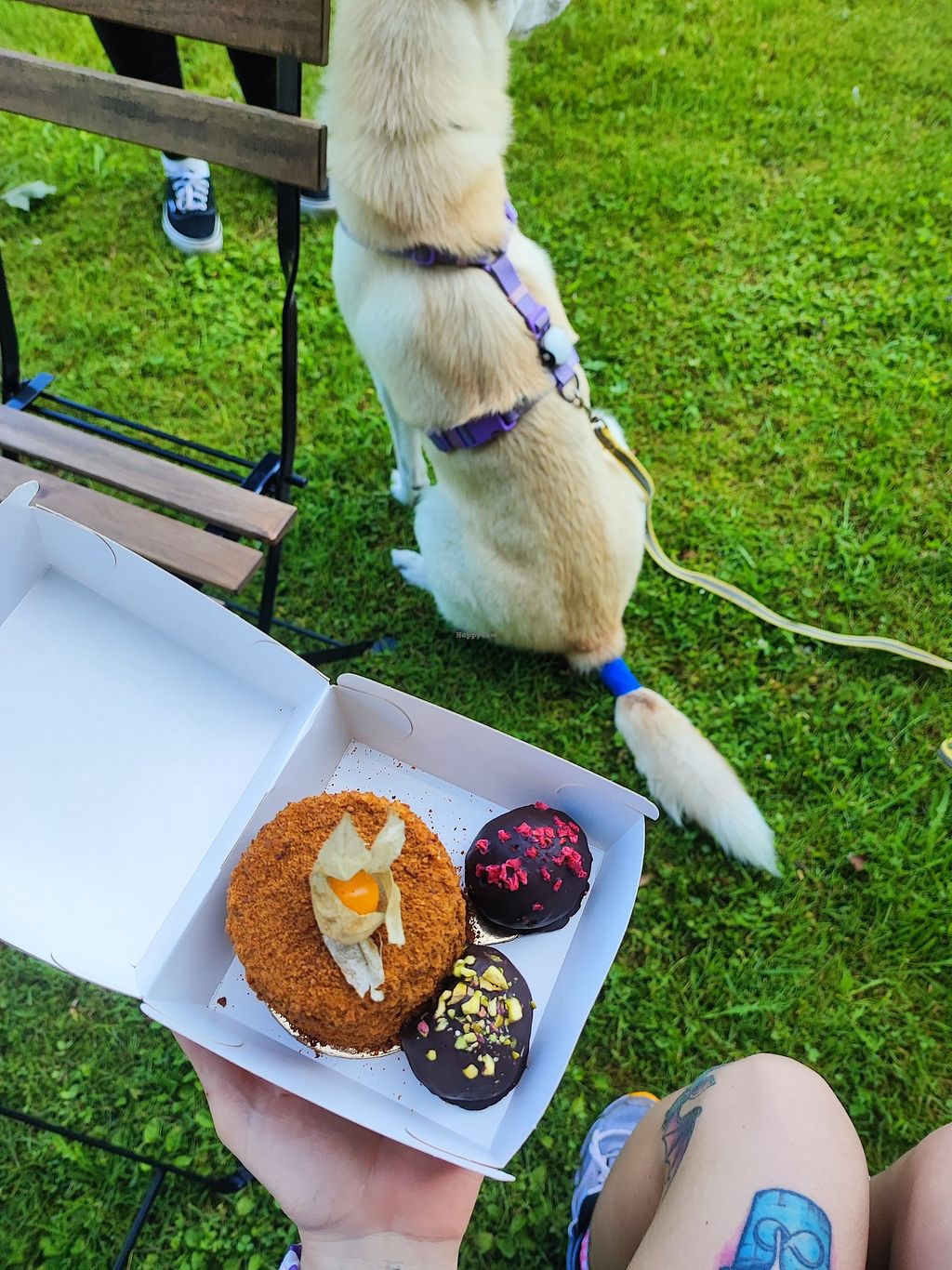 Bitės Virtuvėlė - Musninkai Food Truck - HappyCow
