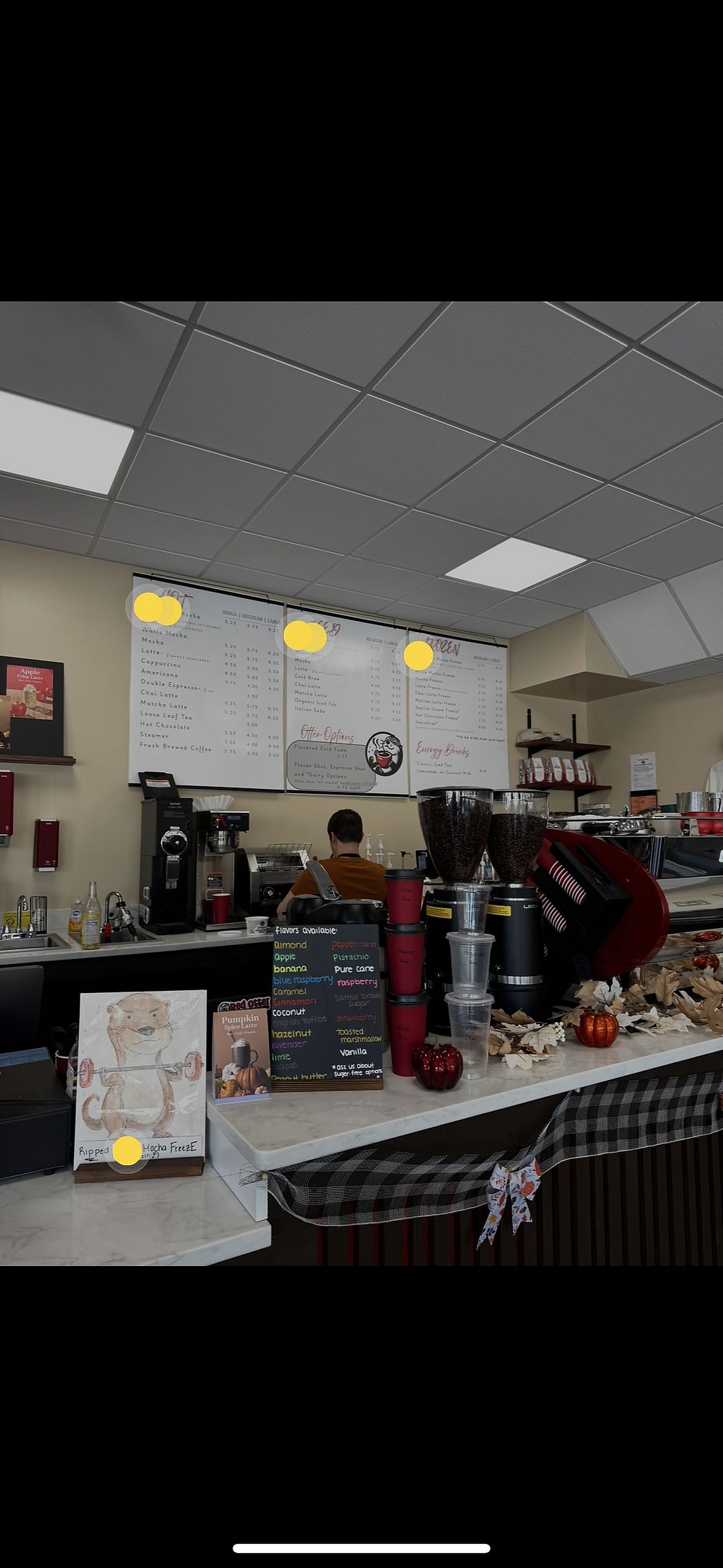 Red Otter Coffee - Buffalo New York Coffee & Tea - HappyCow