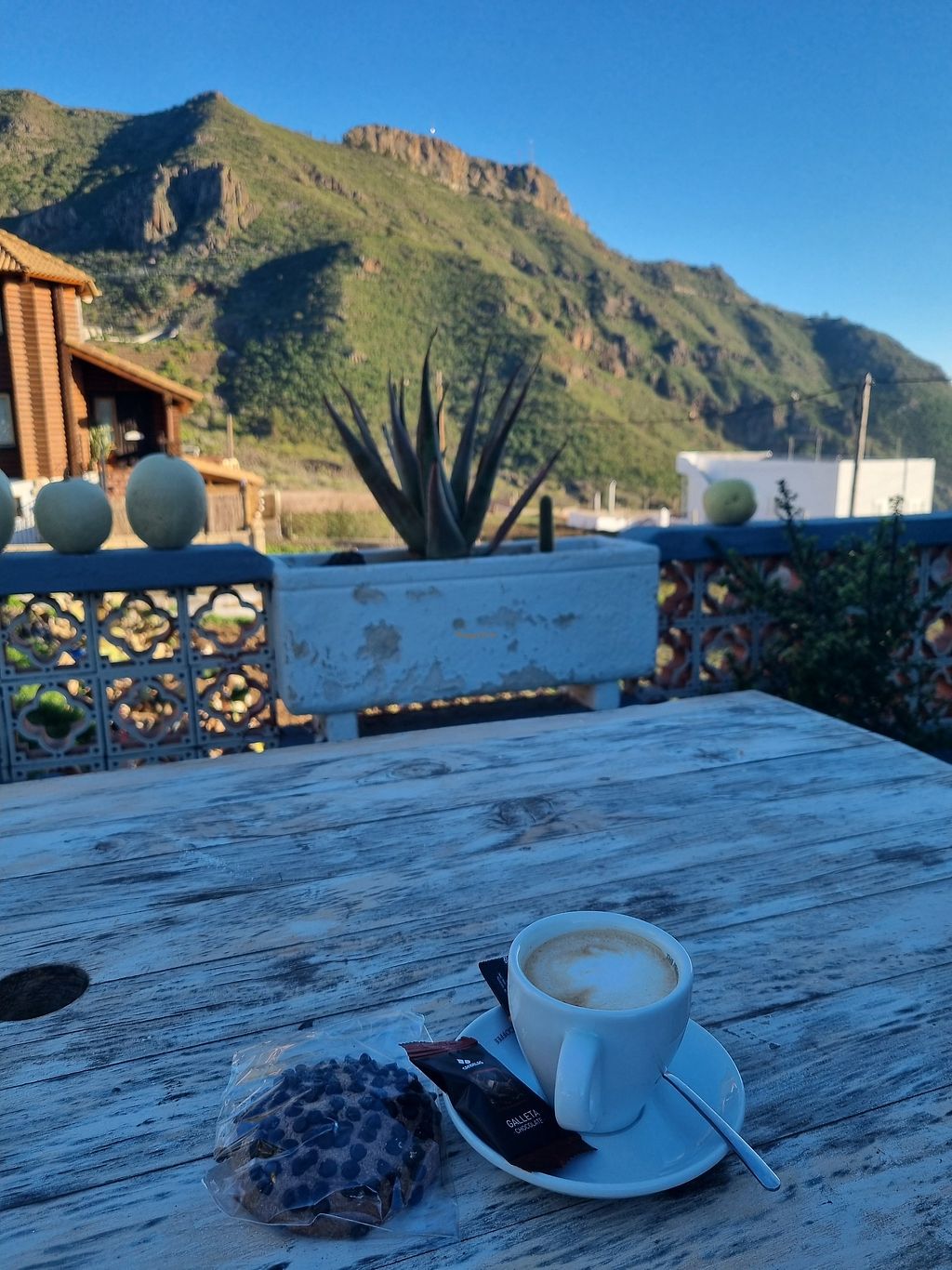 High Pico Flower Cafe - Tenerife | Review "Friendly cafe and shop" by ...