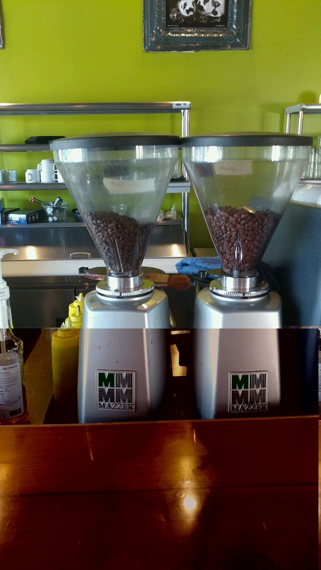 CLOSED: The Growling Rabbit - Chicago Illinois Restaurant - HappyCow