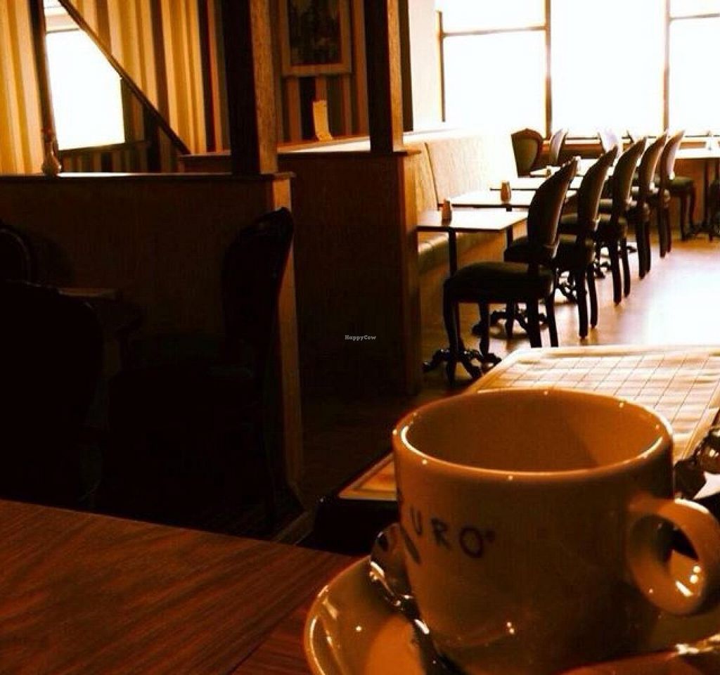 High Cafe - Galway Restaurant - HappyCow