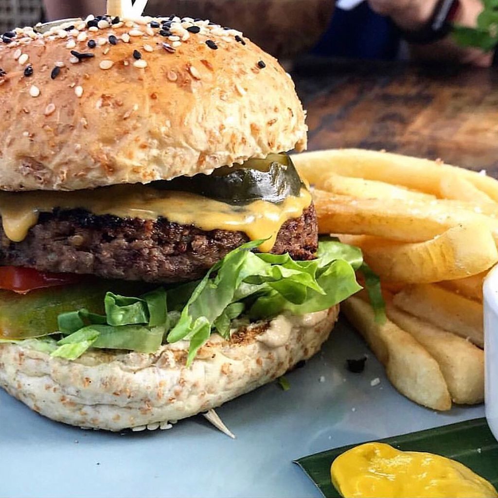 The Shady Shack - Canggu Bali Restaurant - HappyCow