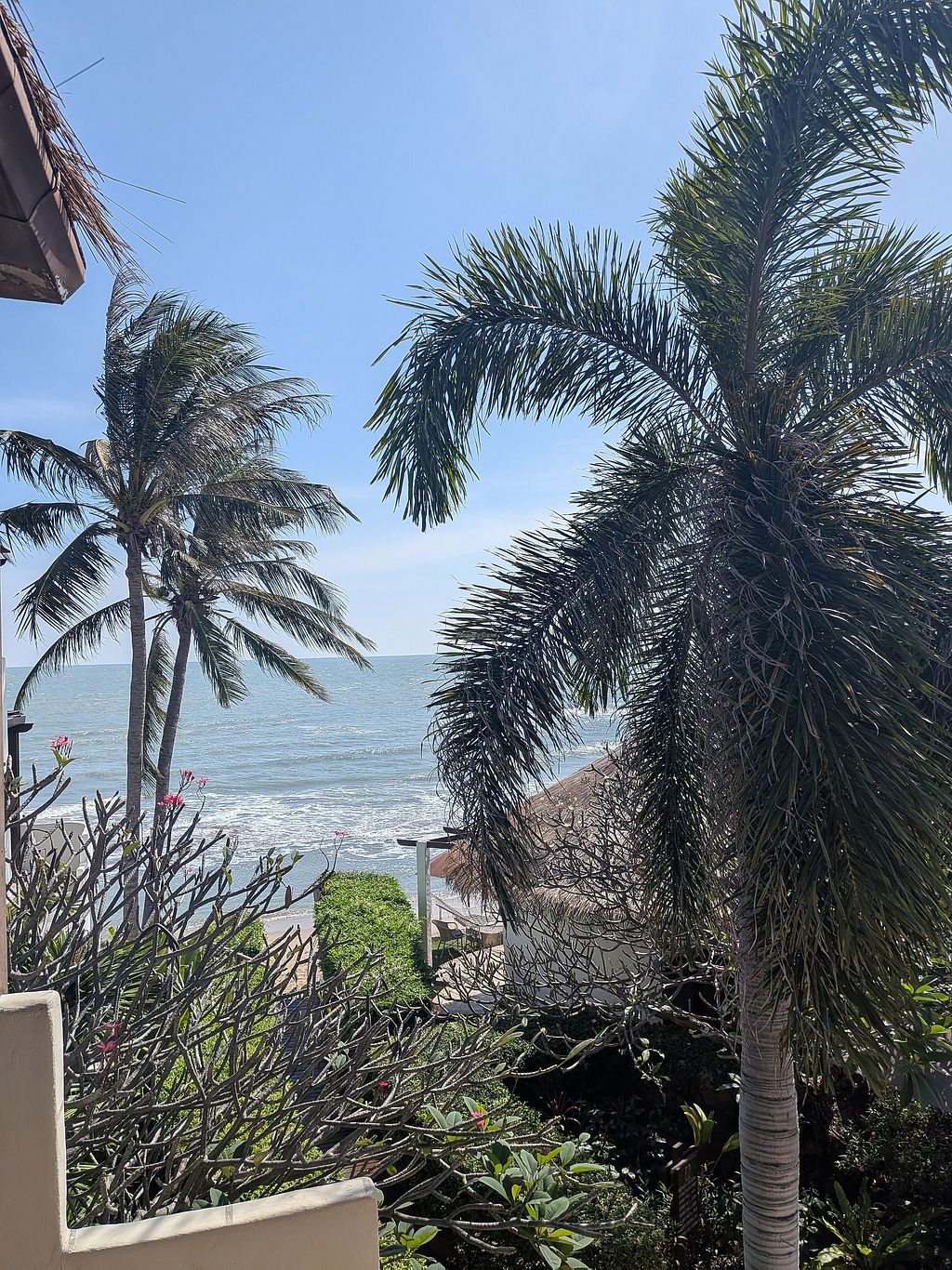 Aleenta Resort Restaurant - Hua Hin | Review "Vegan menu" by Happy_Dimi ...