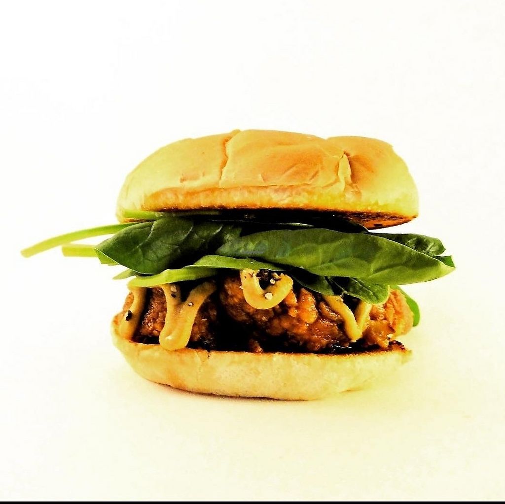 CLOSED: Vegesaurus - Food Truck - Indianapolis Indiana Food Truck ...