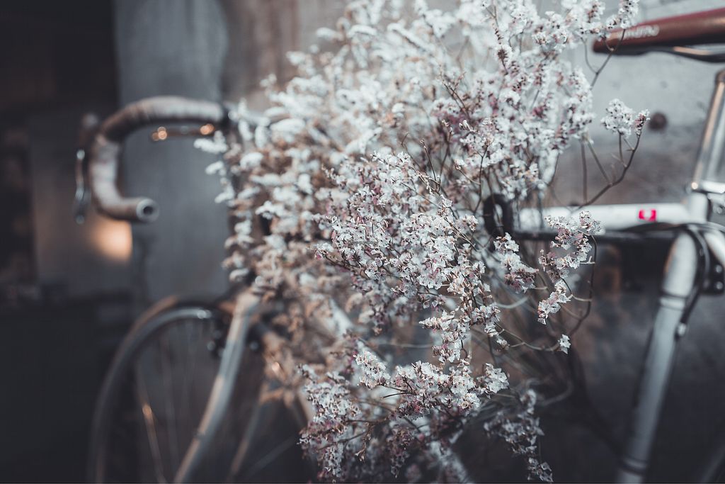 CLOSED: Off-Grid Cafe - Physical - Sapporo Restaurant - HappyCow