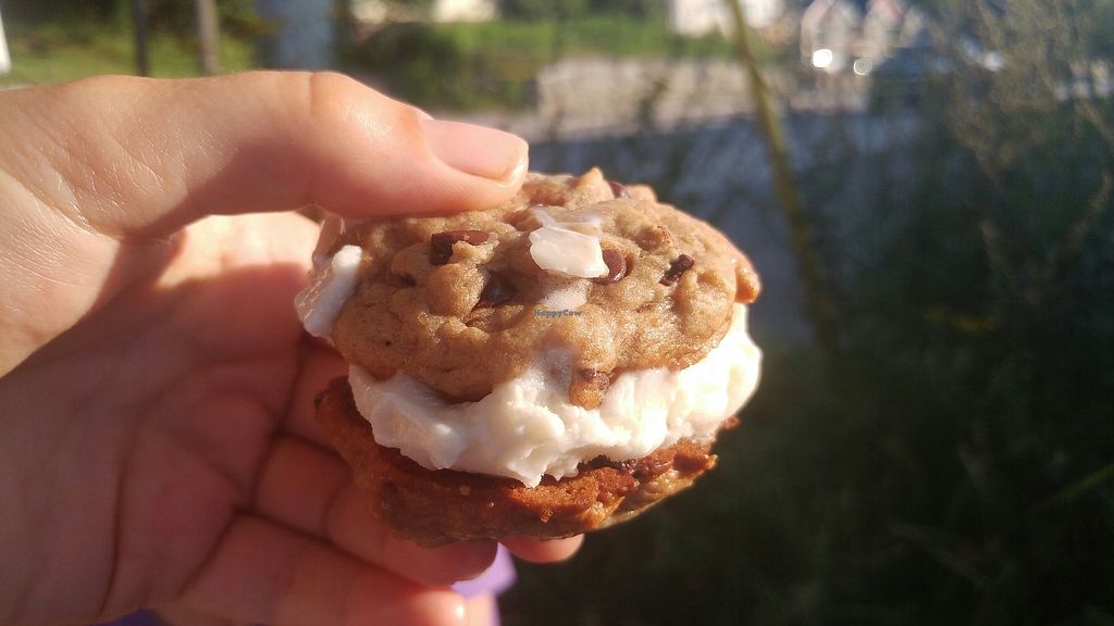 CLOSED: The Frying Dutchman - Huntsville Ontario Food Truck - HappyCow