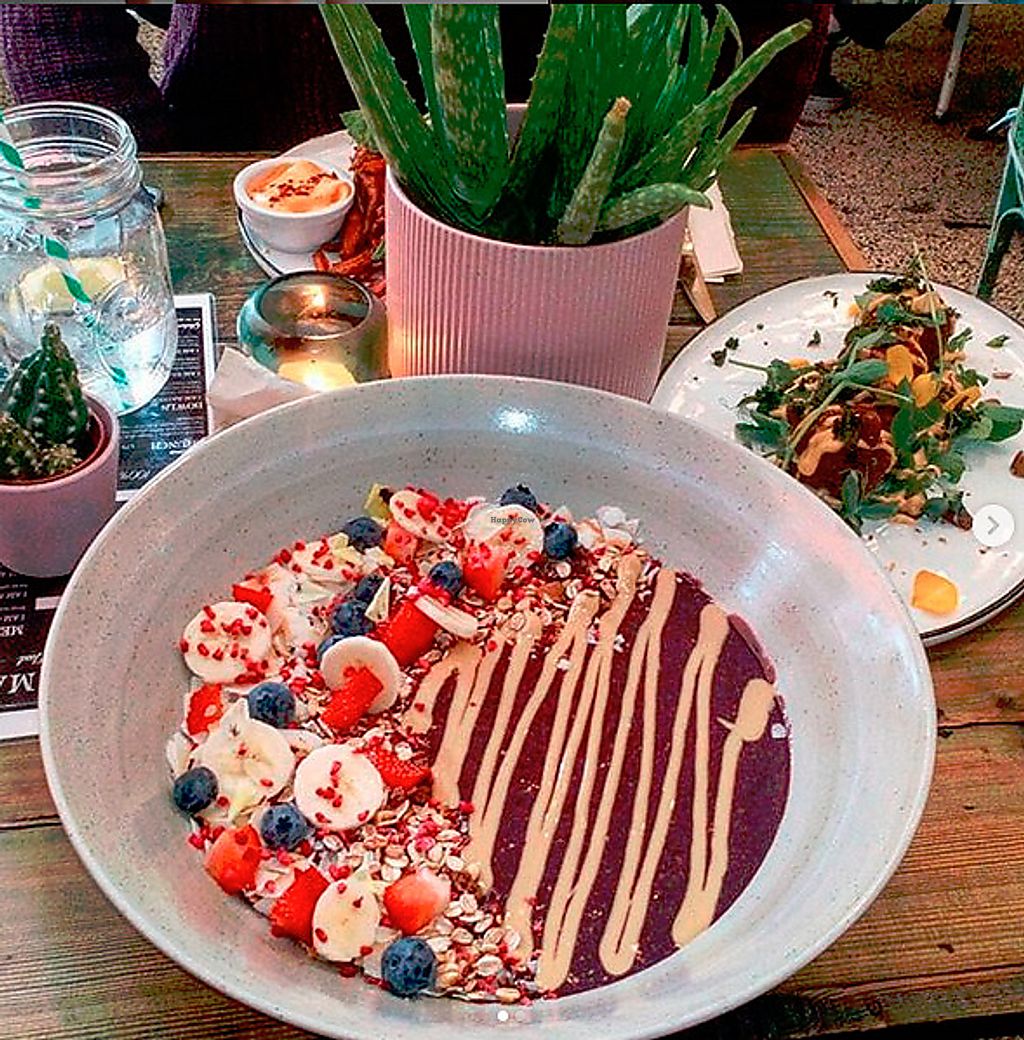 The Organic Boho - Copenhagen Restaurant - HappyCow