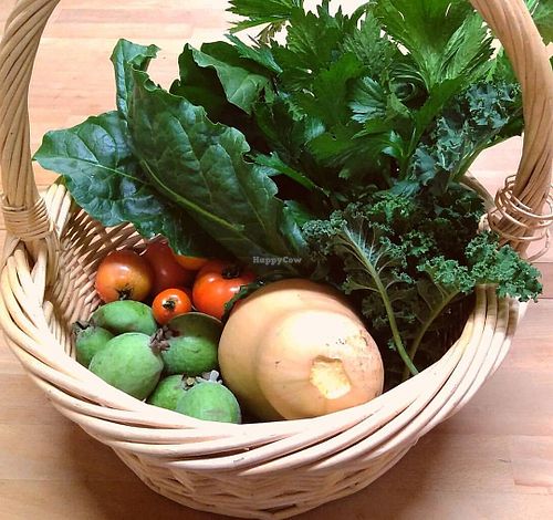 Te Paranui Permaculture Homestead - Tuamarina B&B - HappyCow