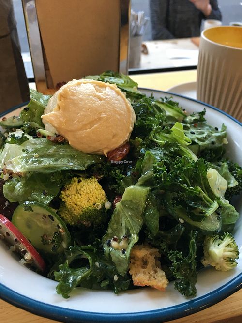 Verd - Manly New South Wales Restaurant - HappyCow