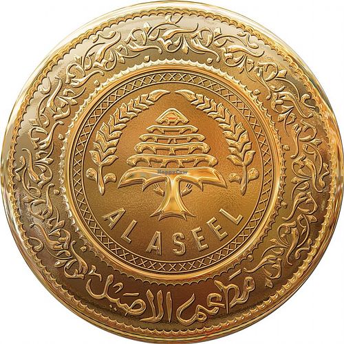 Al Aseel - Greenacre New South Wales Restaurant - HappyCow