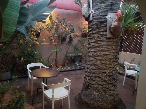 El Turco - Tijuana Restaurant - HappyCow