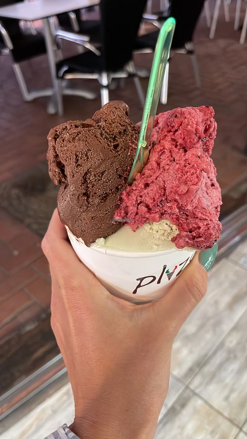 Pliza 21 - Gran Canaria Canary Islands Ice Cream - HappyCow