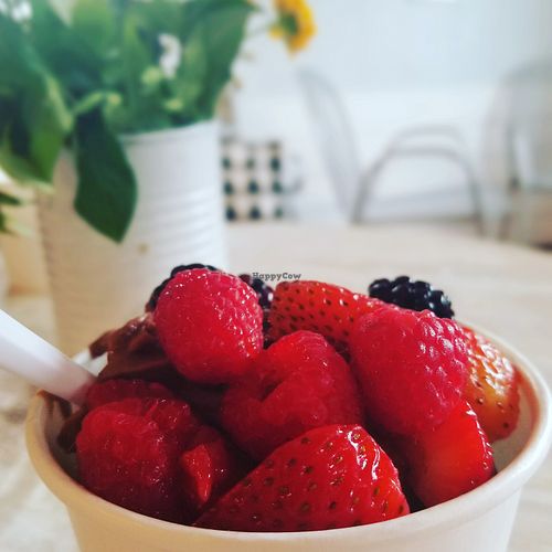 Surfin' Spoon - Nags Head North Carolina Ice Cream - HappyCow