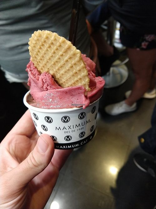 CLOSED: Maximum - Barcelona Ice Cream - HappyCow
