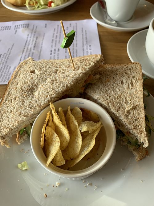 Hog & Hedge - Whiddon Down Restaurant - HappyCow