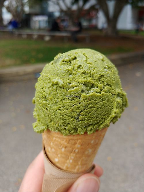 CLOSED: Pepita's Artisan Ice Cream - Curl Curl New South Wales Ice ...
