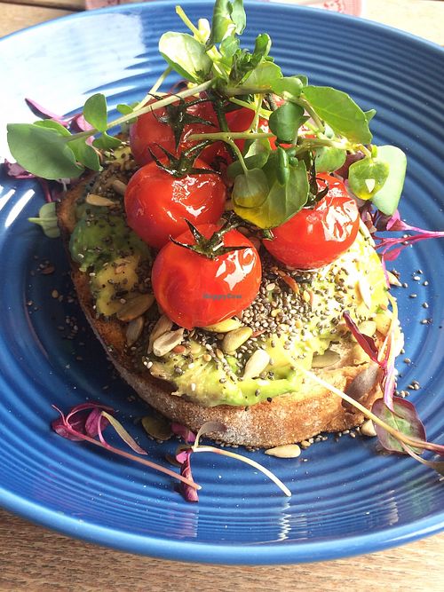 Salt Café - Fareham Restaurant - HappyCow