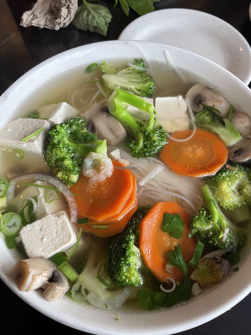 Pho 20 - Avon Colorado Restaurant - HappyCow