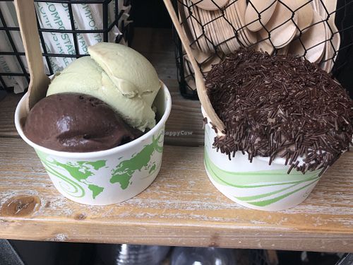 Van Leeuwen Ice Cream - Boston Massachusetts Ice Cream - HappyCow