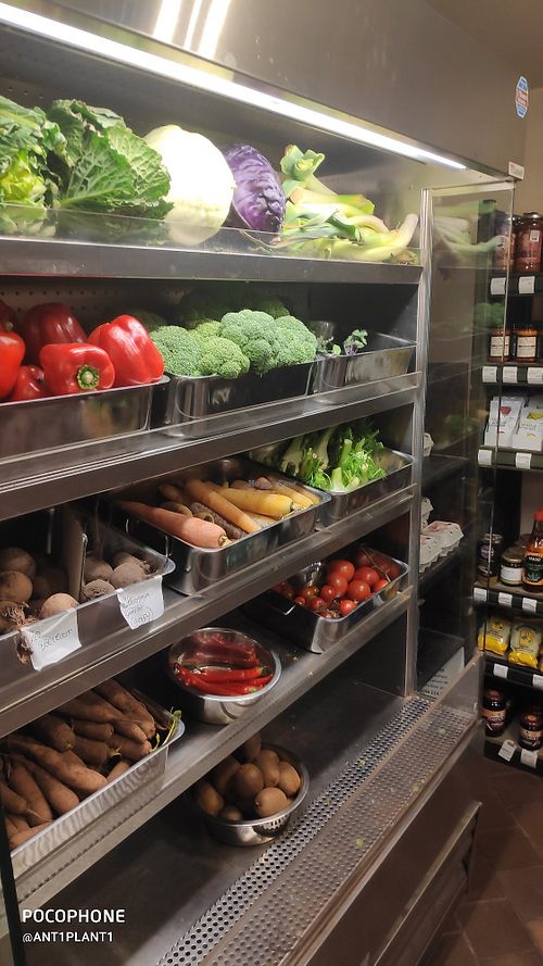 Fodder - Hereford Veg Store - HappyCow