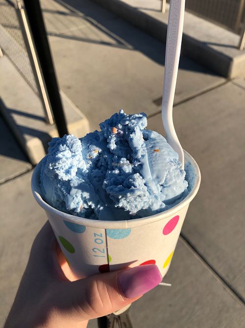 Square Scoop - Indianapolis Indiana Ice Cream - HappyCow