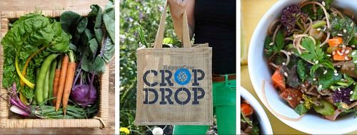 Crop Drop - North London Other - HappyCow