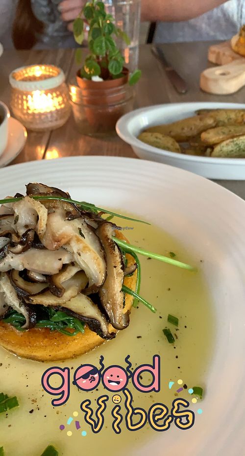 The Pawnee House - Oak Bluffs Massachusetts Restaurant - HappyCow