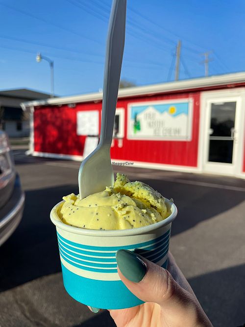 True North - Marshall Michigan Ice Cream - HappyCow