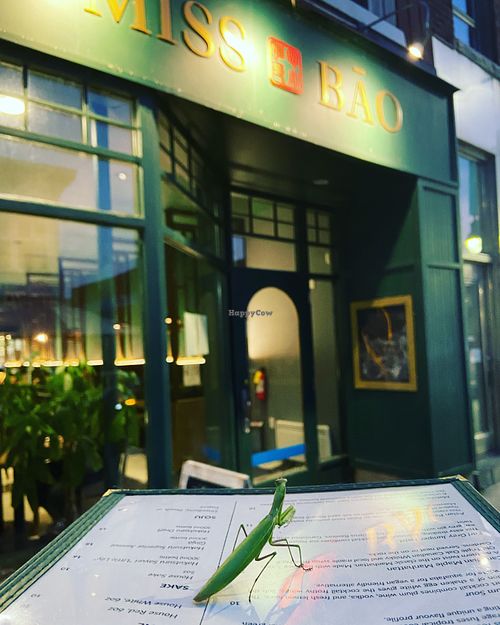 Miss Bāo - Kingston Ontario Restaurant - HappyCow